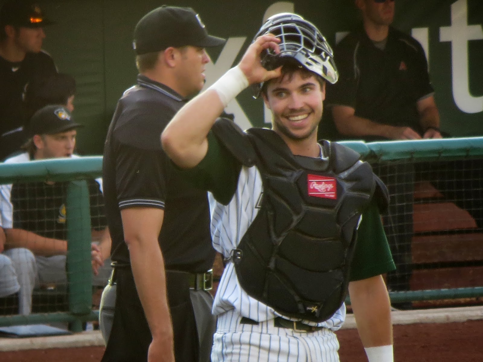 Fantasy Baseball Vision